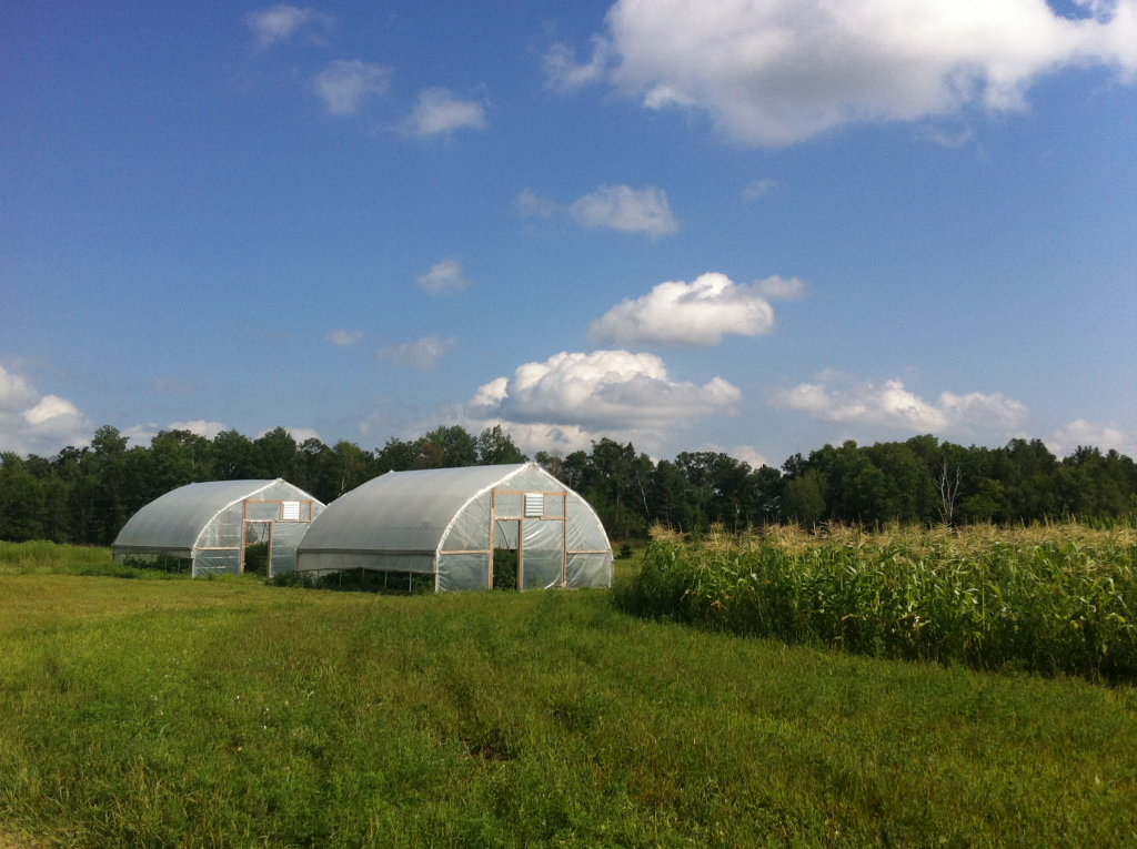 Region 5, Minnesota | Growing Food Connections
